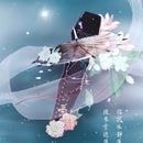 是爱学习的八岁呀 