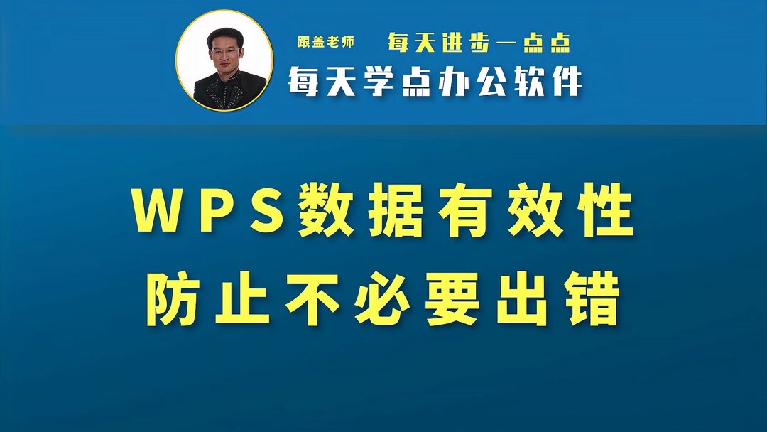 她的WPS表格怎么设置的我只能输入限定的几个数字