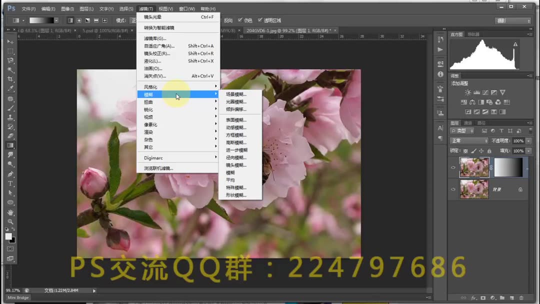 PS镜头模糊的使用-PS全集自学网淘宝美工教程平面设计海报详情页