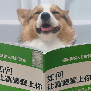 萝莉贩卖机- 