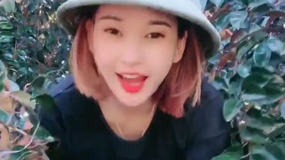 带你们看一下咖啡树咖啡开花跟牛奶果