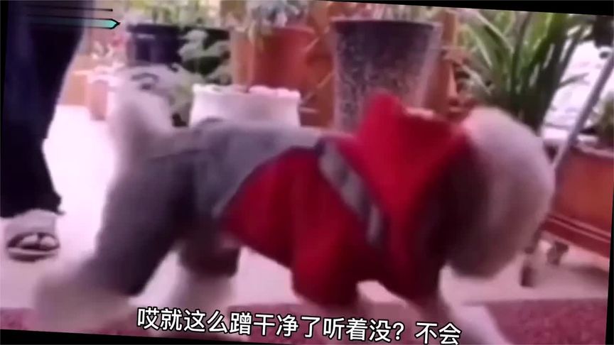 搞笑视频:前面这医院大屏幕上看到一个名了,我是做搞笑的。我说