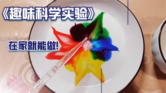小学趣味科学小实验第一集,炫彩牛奶实验,和爸爸妈妈一起看!