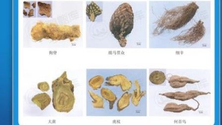 执业药师免费教学视频