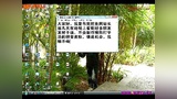 搜狗拼音打字法皮肤制作教程