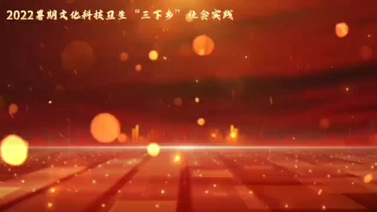 #2022年暑期“三下乡”社会实践活动“微光行动”乡村振兴促进团