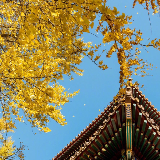基金股票理财 