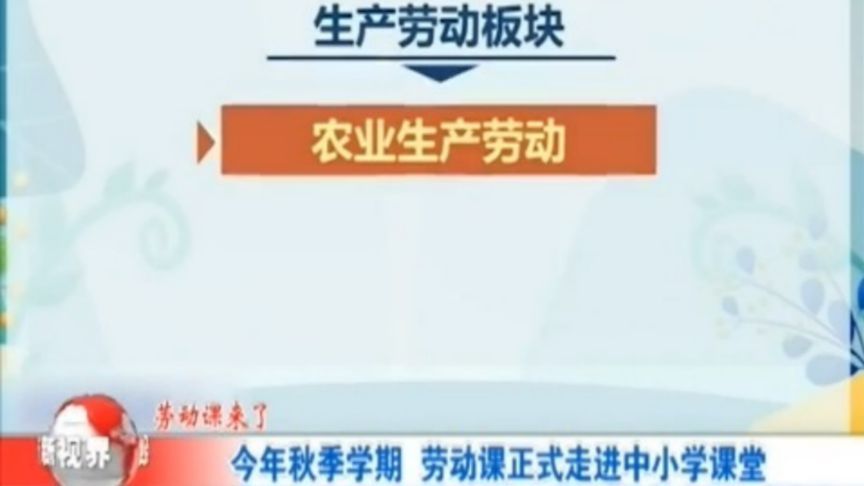 今年秋季学期,劳动课正式走进中小学课堂
