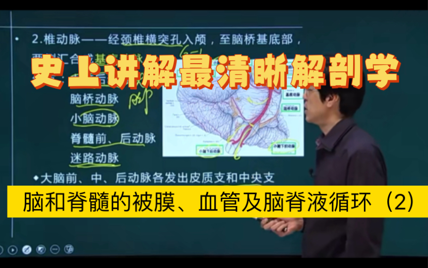 神经系统一脑和脊髓的被膜、血管及脑脊液循环(2)