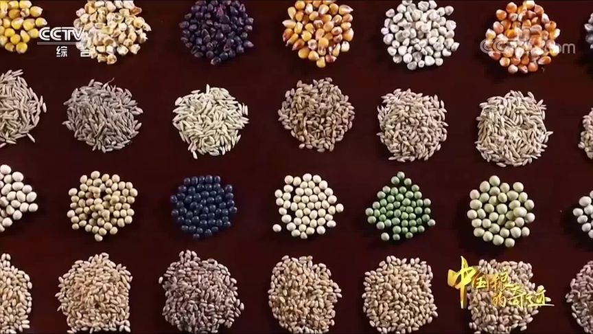揭秘中国“种质库”,储藏43.5万份种子,位居全球第二