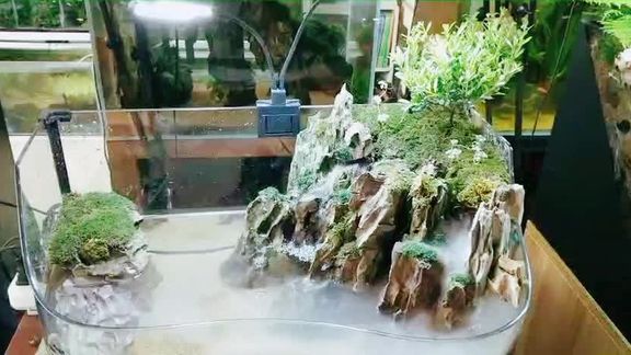 乌龟缸改造水陆,翻新篇。简单的处理了一下,把水道改为一前一后两道#...