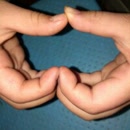 兔八哥猪小妹艾米 