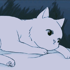 抱抱柒夕 