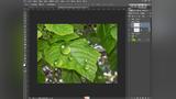 使用Photoshop制作一个后期水珠效果图讲解!ps教程 ps视频教程
