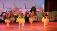 幼儿园舞蹈视频2019最火《青春乐园》