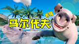 动物园之星24:马尔代夫养猪,这才是生活!#勾魂公狒狒