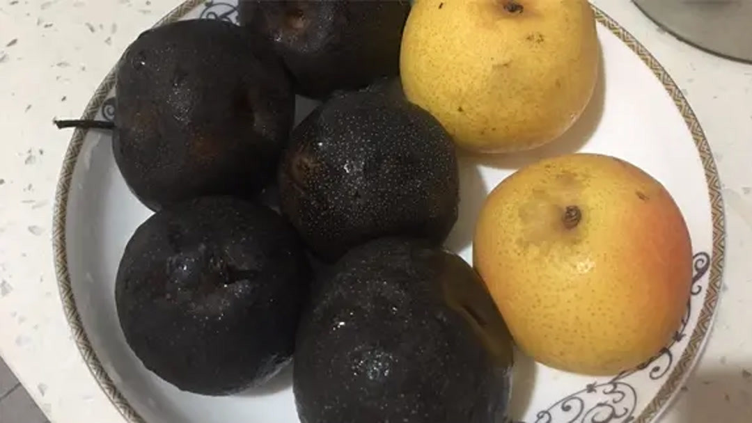 想吃东北冻梨不用等到寒冬腊月,只需1个小窍门,1天冻好