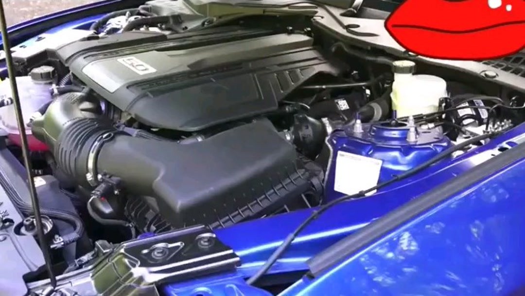 买车到底买自动挡好还是手动挡好?老司机一分析,后悔我家买早了