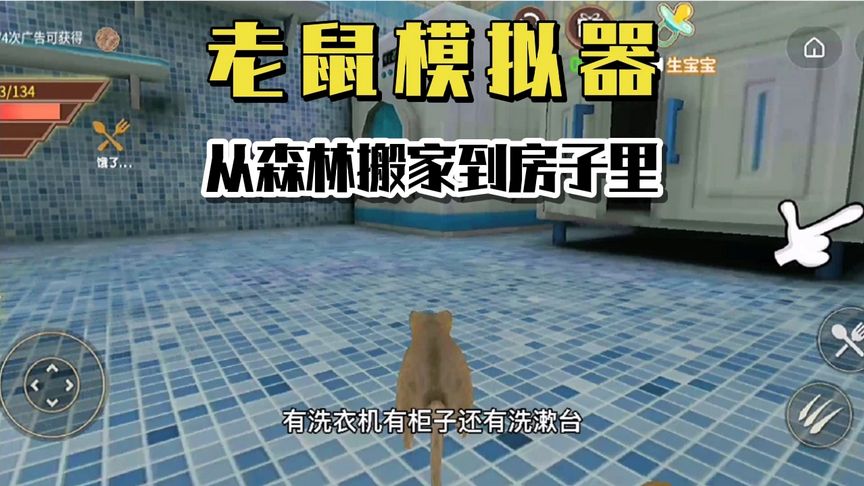 老鼠模拟器,从森林搬家到房子里