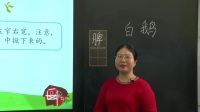 名师课堂四年级语文《白鹅》第一课时