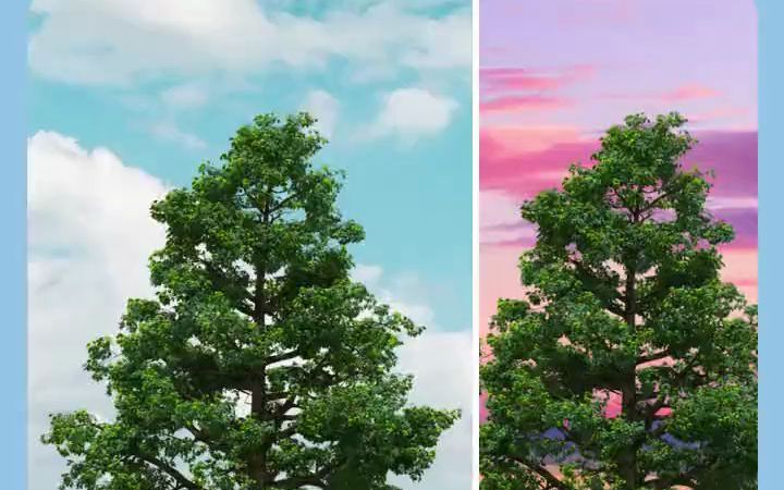 ps 教你如何正确抠大树