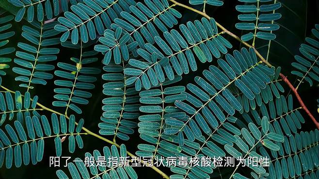 疫情当下,阳了有哪些症状,赶紧来了解一下吧