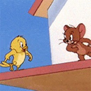 拾圆里美不胜收 