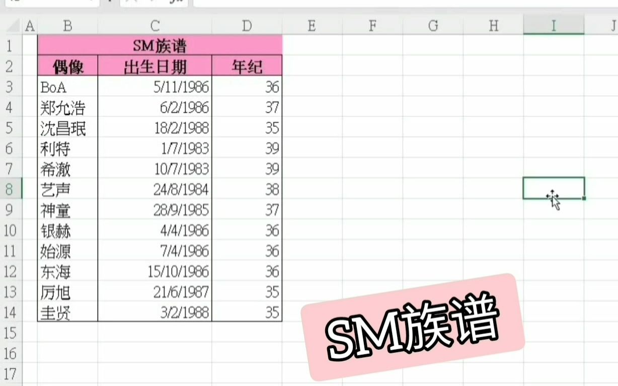【KPOP人学Excel-东方神起篇】Datedif快速算出年纪 | SM族谱