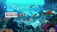 海底世界1920X1080视频素材4655228_(new).mp4