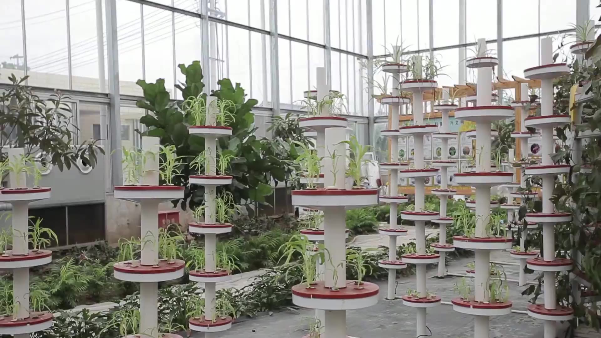 温室大棚不仅仅可以种植?还有多种方案供您选择