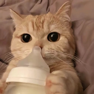 被推挤到清醒之外 