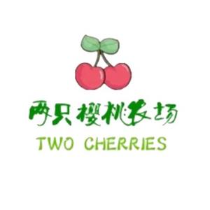 两只樱桃农场王小胖 