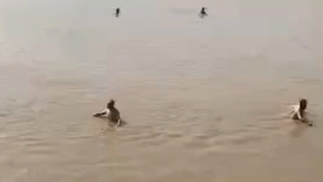 悲剧!辽宁台安6名小学生溺水身亡 其中有一对双胞胎兄弟