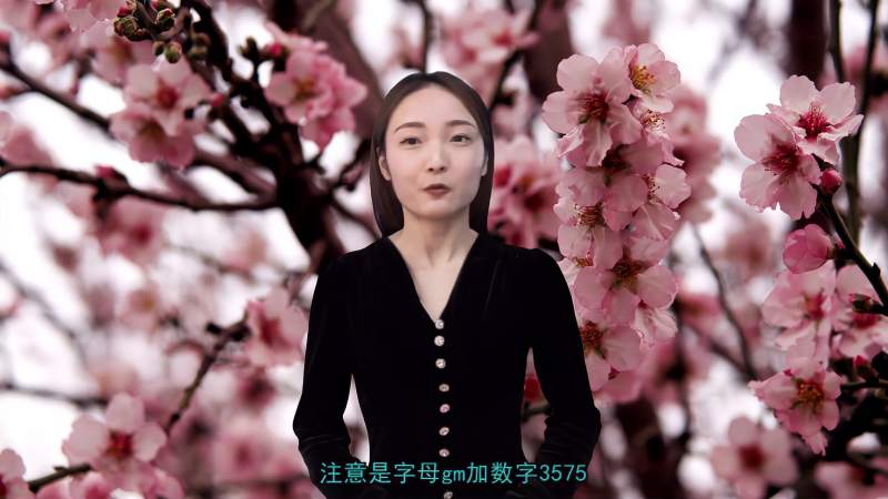 商标申请流程,撤销连续三年停止使用商标