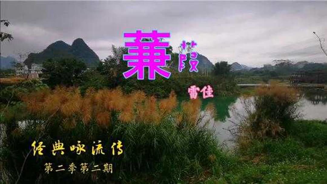 古风歌曲诗词对联丨一缕蒹葭落,诚邀才子佳人对下联?经典咏流传