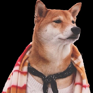 星仔う 