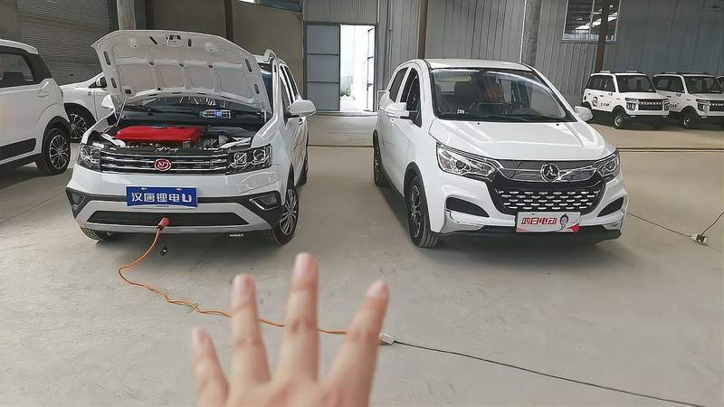 同样都是电动车,网友粉丝问我该如何选择,今天详细介绍,干货呦