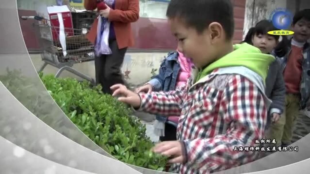 幼儿园优质课_幼儿行为观察与分析艺术领域中班感受与欣赏