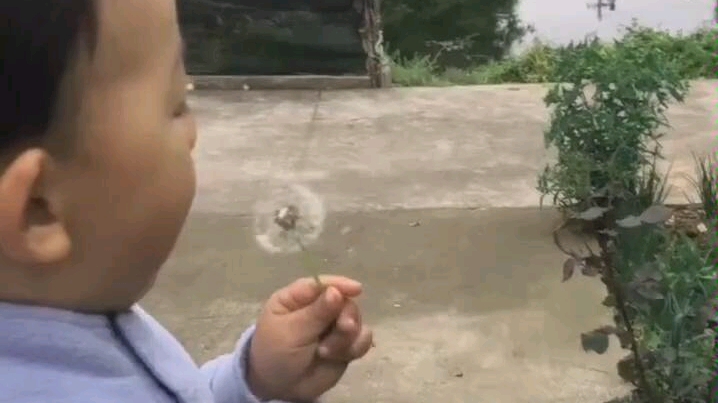 这小女孩和我小时候一模一样