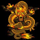 小龙工作坊 