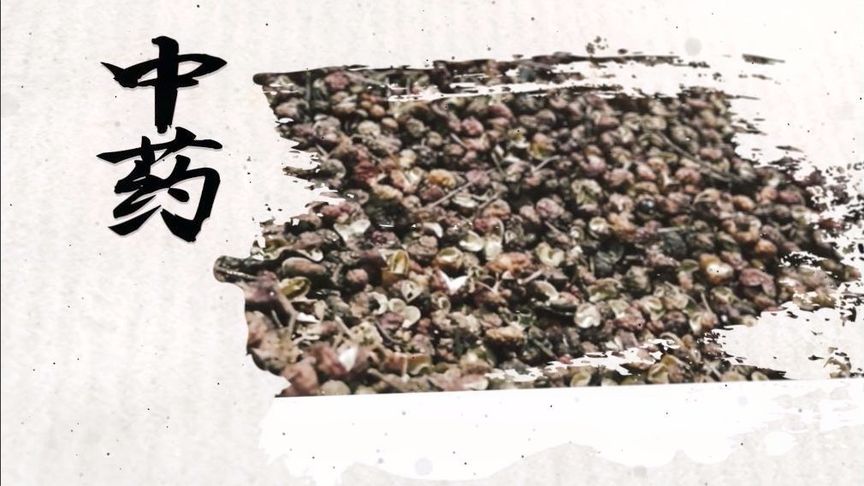 中医药产业宣传片(八)