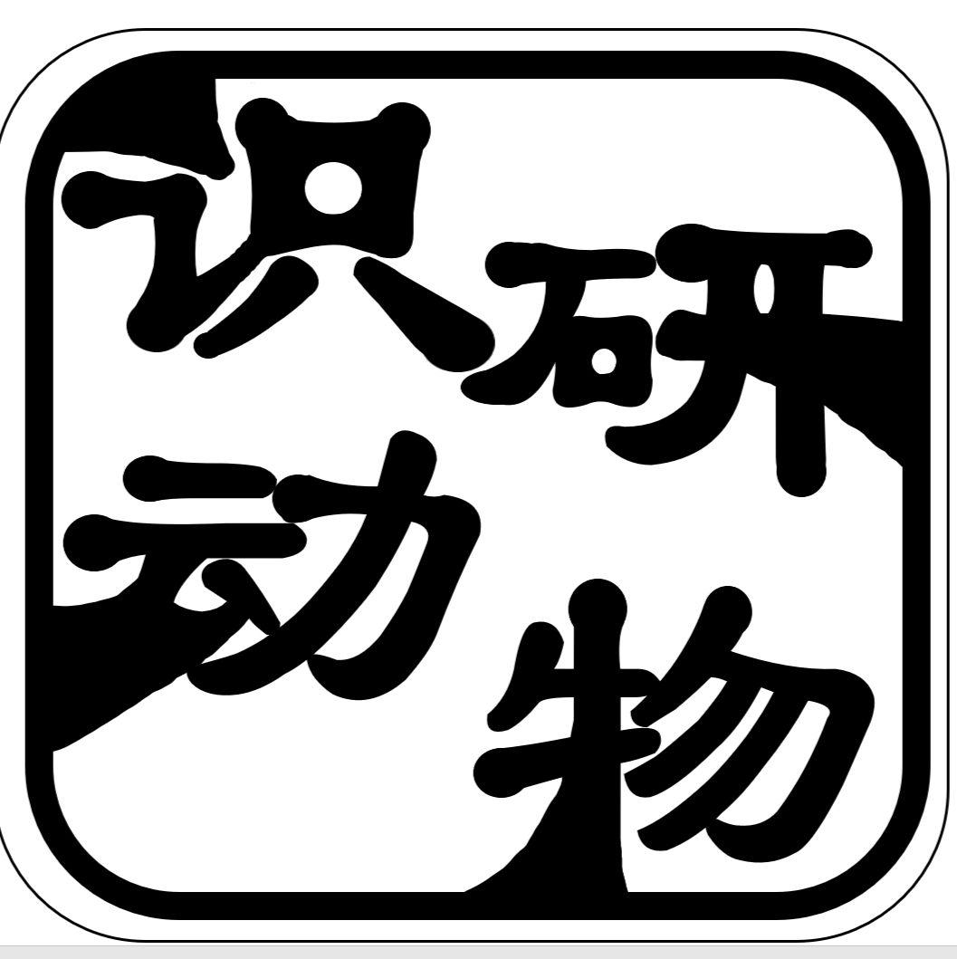 识研动物 