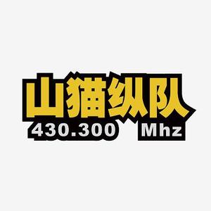 山猫纵队 