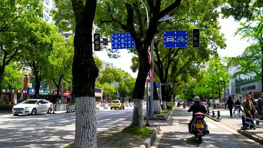 路上随拍,电动车大军,大家觉得桂林城区的道路怎么样?