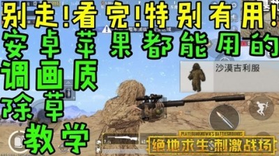 绝地求生刺激战场:别走看完特别有用!调画质除草教学