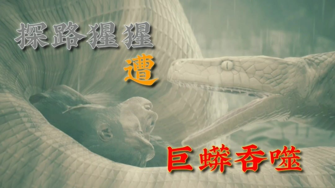 狒狒模拟器06:探路狒狒遭通天巨蟒吞食,猩猩大军即将倾巢而出