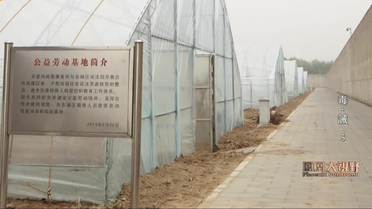 戒毒所如何帮助康复人员学习生存技能,重塑对回归社会后的信心?