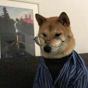 乍见之欢丶A 