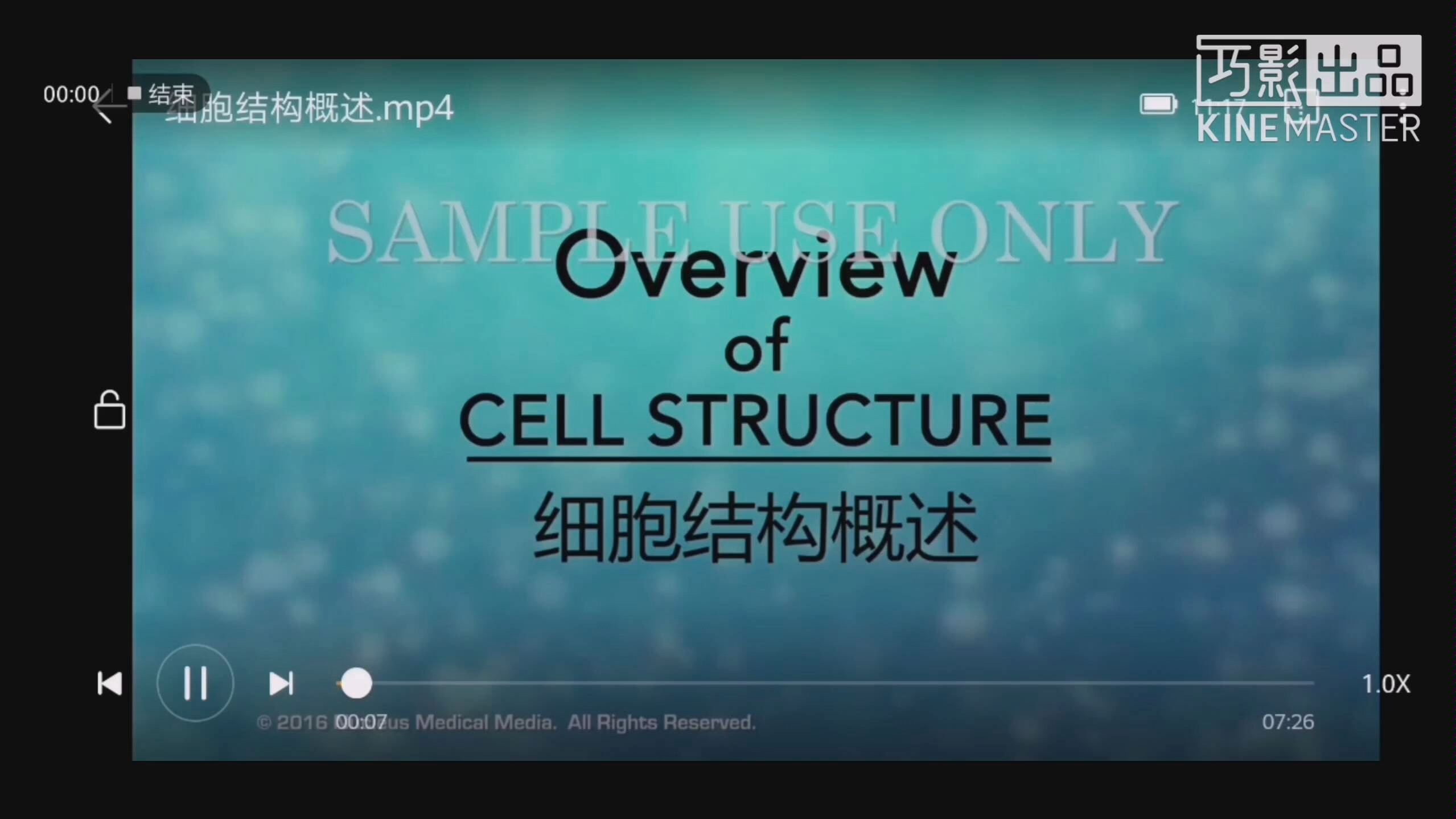 细胞的基本结构