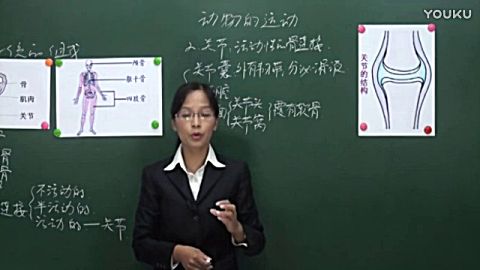 人教版初中生物八年级上册王小敏第一节动物的运动